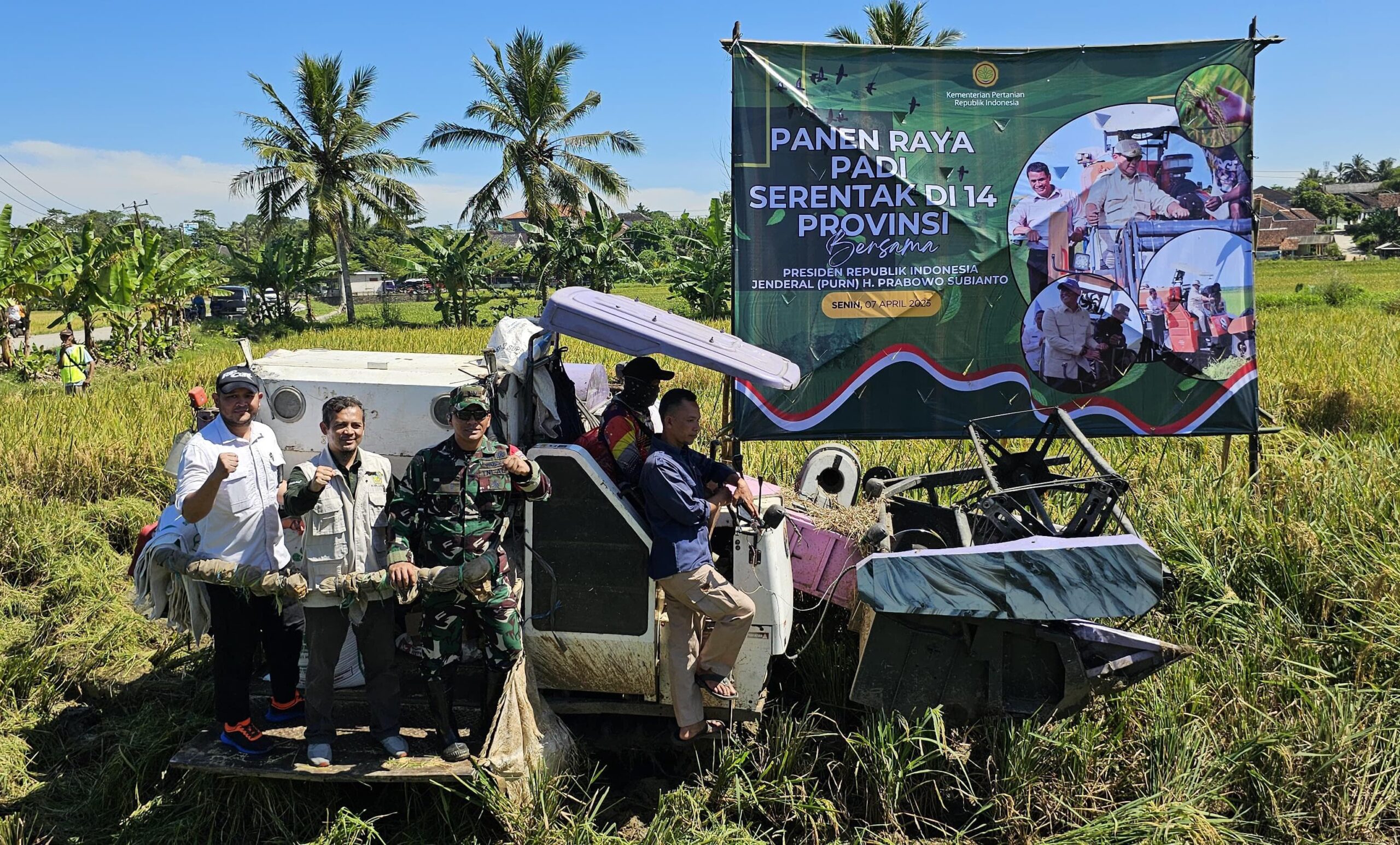 Panen Raya Serentak Nasional, Lebak Torehkan Produktivitas Padi ...