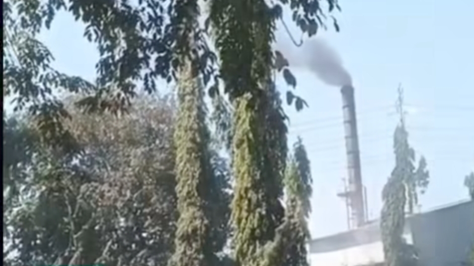 Dinas LH Cilegon Ungkap Asap Hitam di Cerobong PT Wastec karena ...